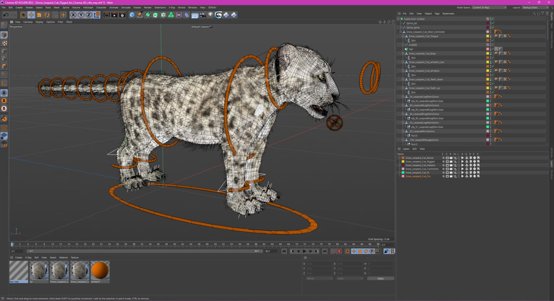 3D Snow Leopard Cub Fur For Cinema 4D Rigged Model - TurboSquid 2407467