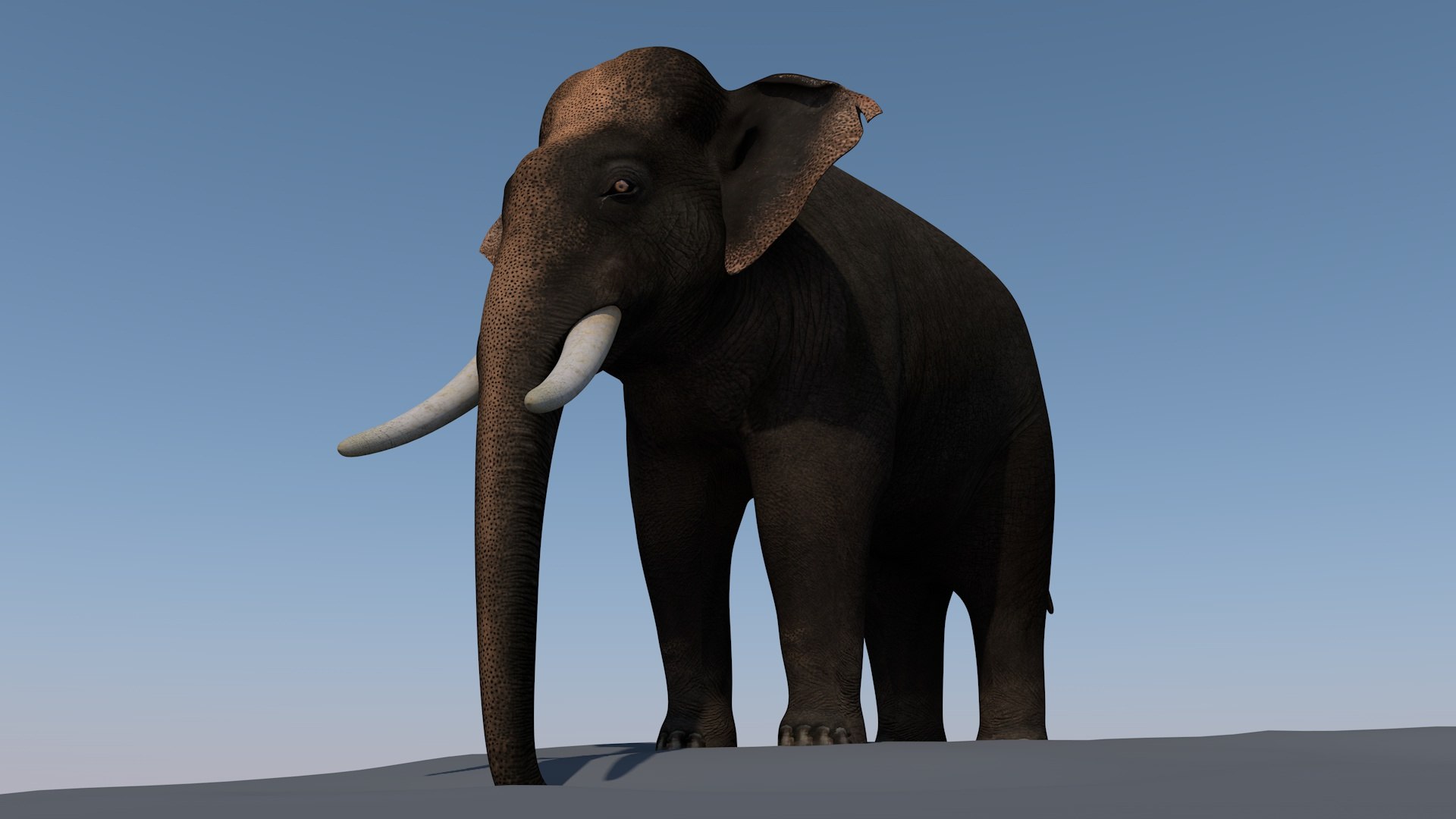Asian Elephant 3D Model 3D Model - TurboSquid 2268464
