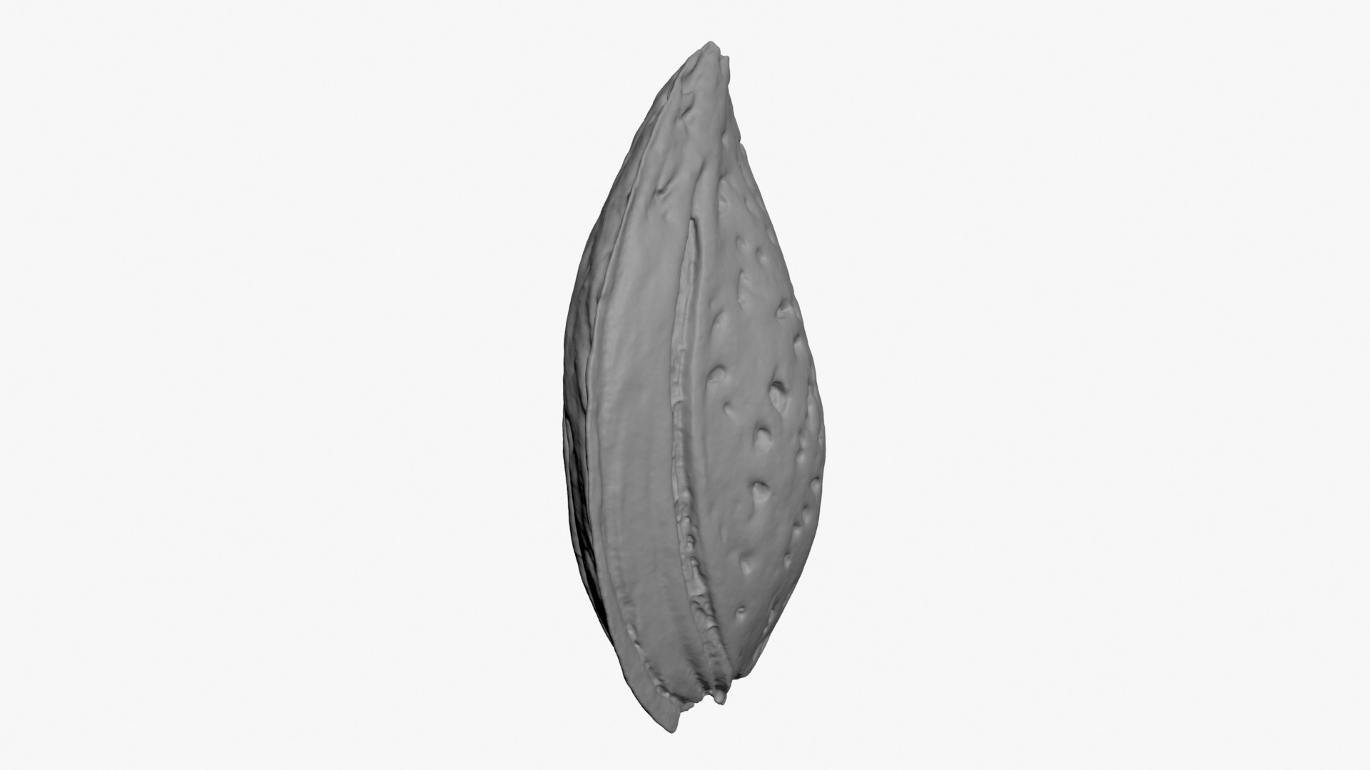 Almond Shell 3D Print 3D Model - TurboSquid 2279558