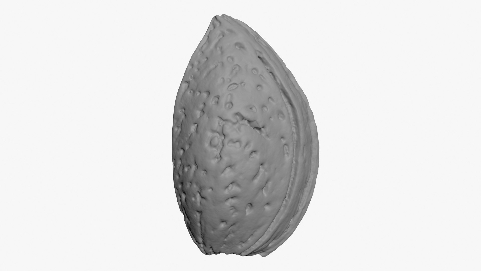 Almond Shell 3D Print 3D Model - TurboSquid 2279558
