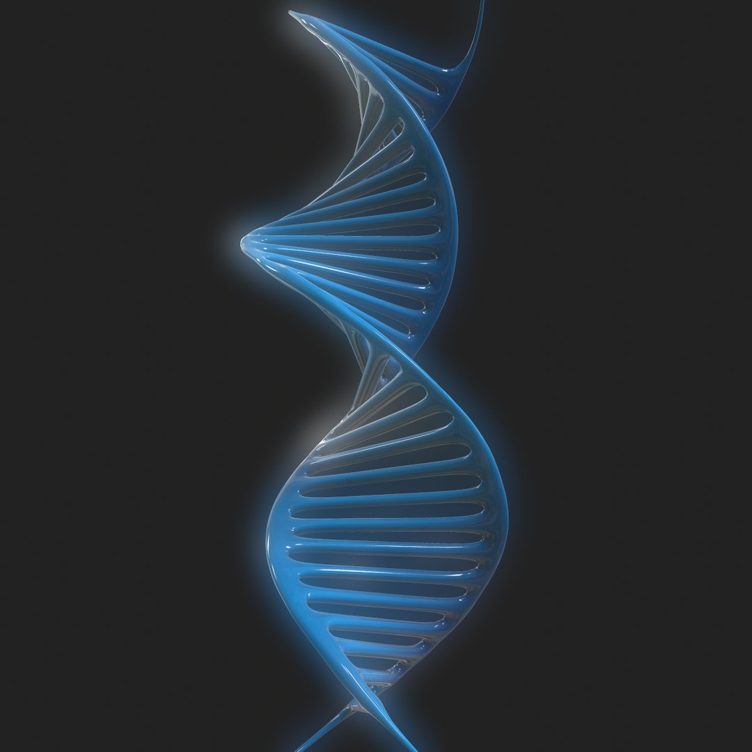 Dna science helix 3D model - TurboSquid 1430283