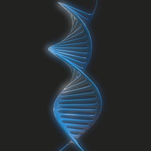 Anatomy Dna STL Models for Download | TurboSquid