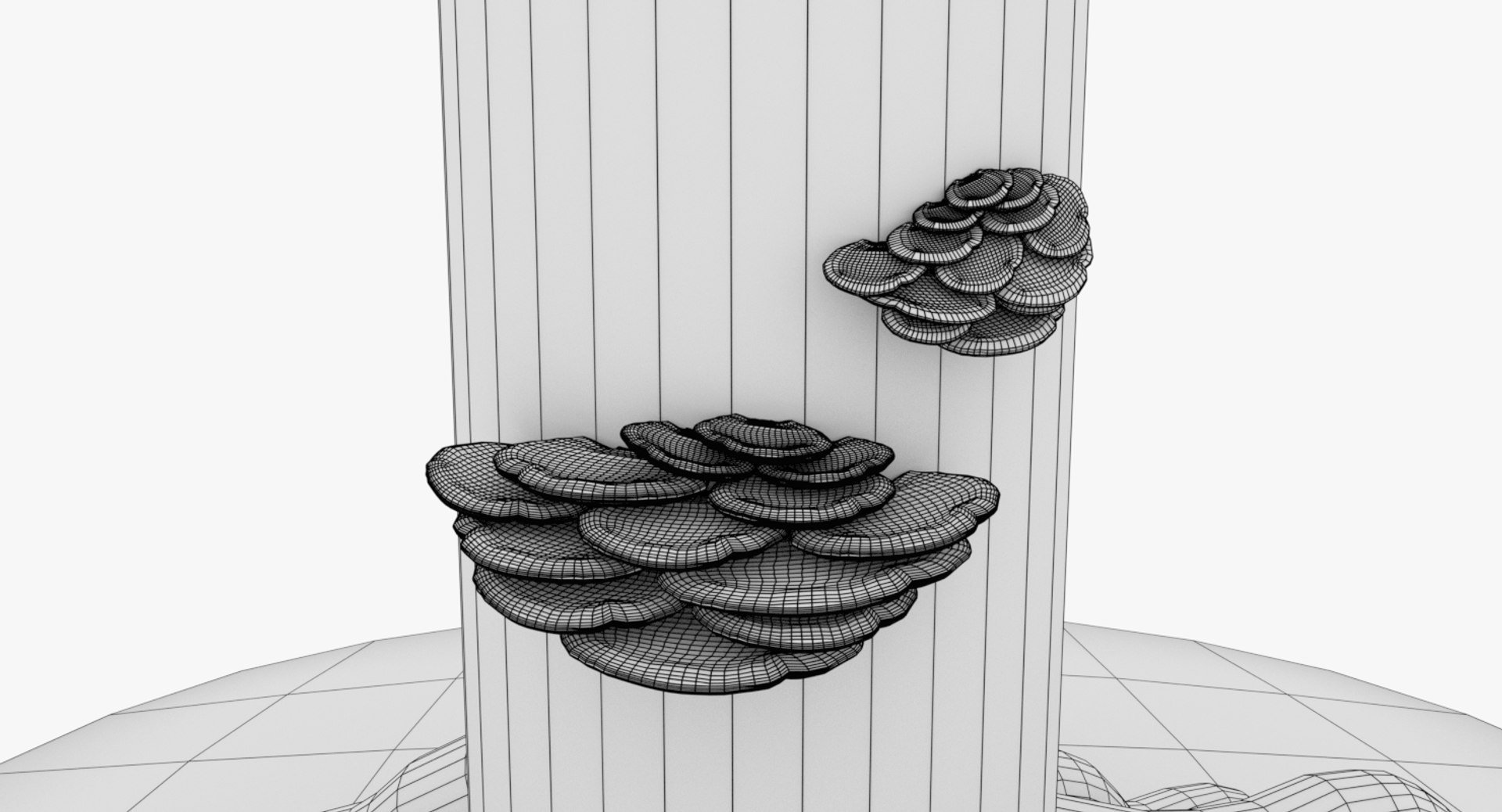 3D Bracket Fungus - TurboSquid 1306398