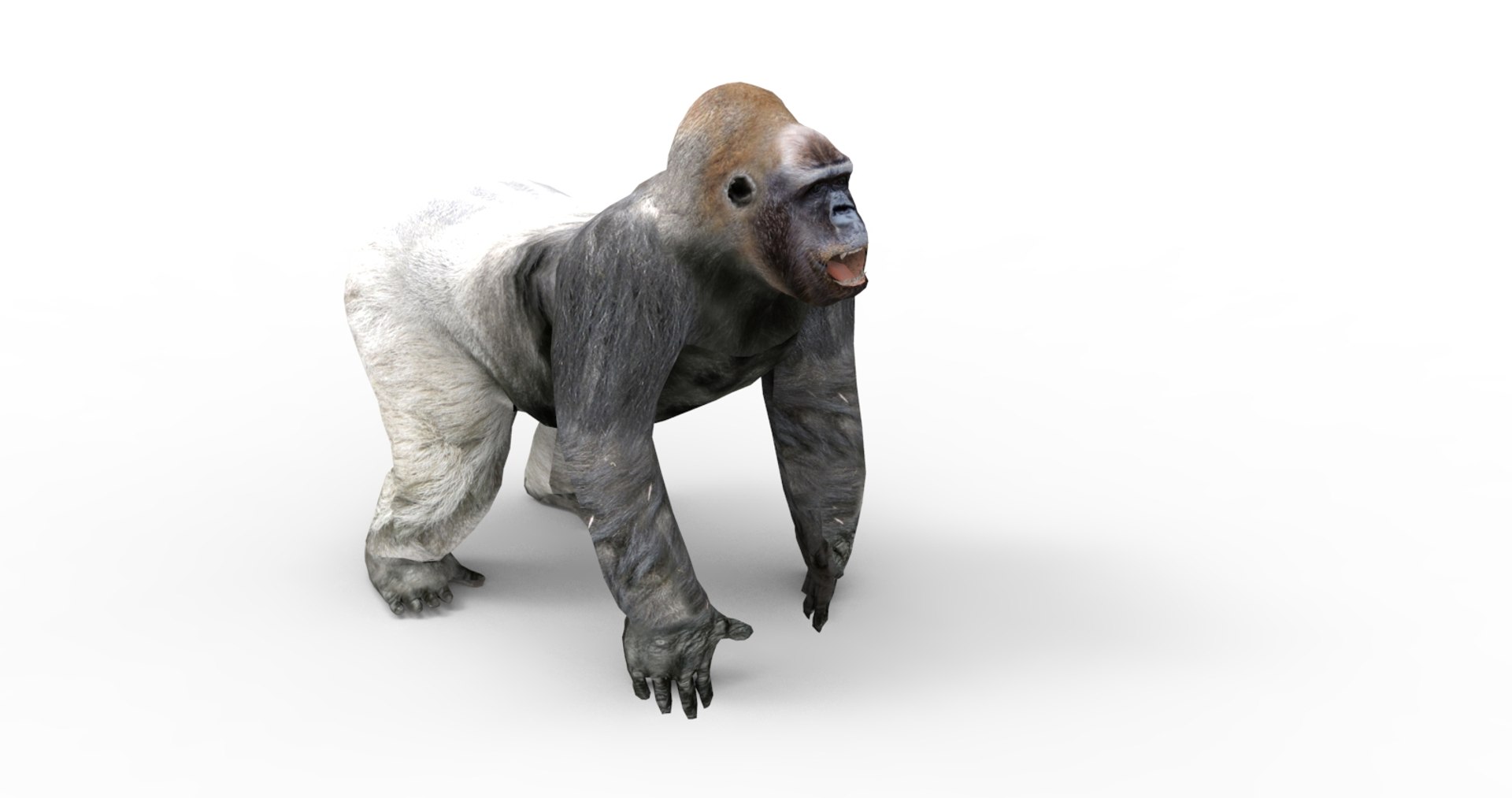 Gorilla Rigged 3d Turbosquid 1235405
