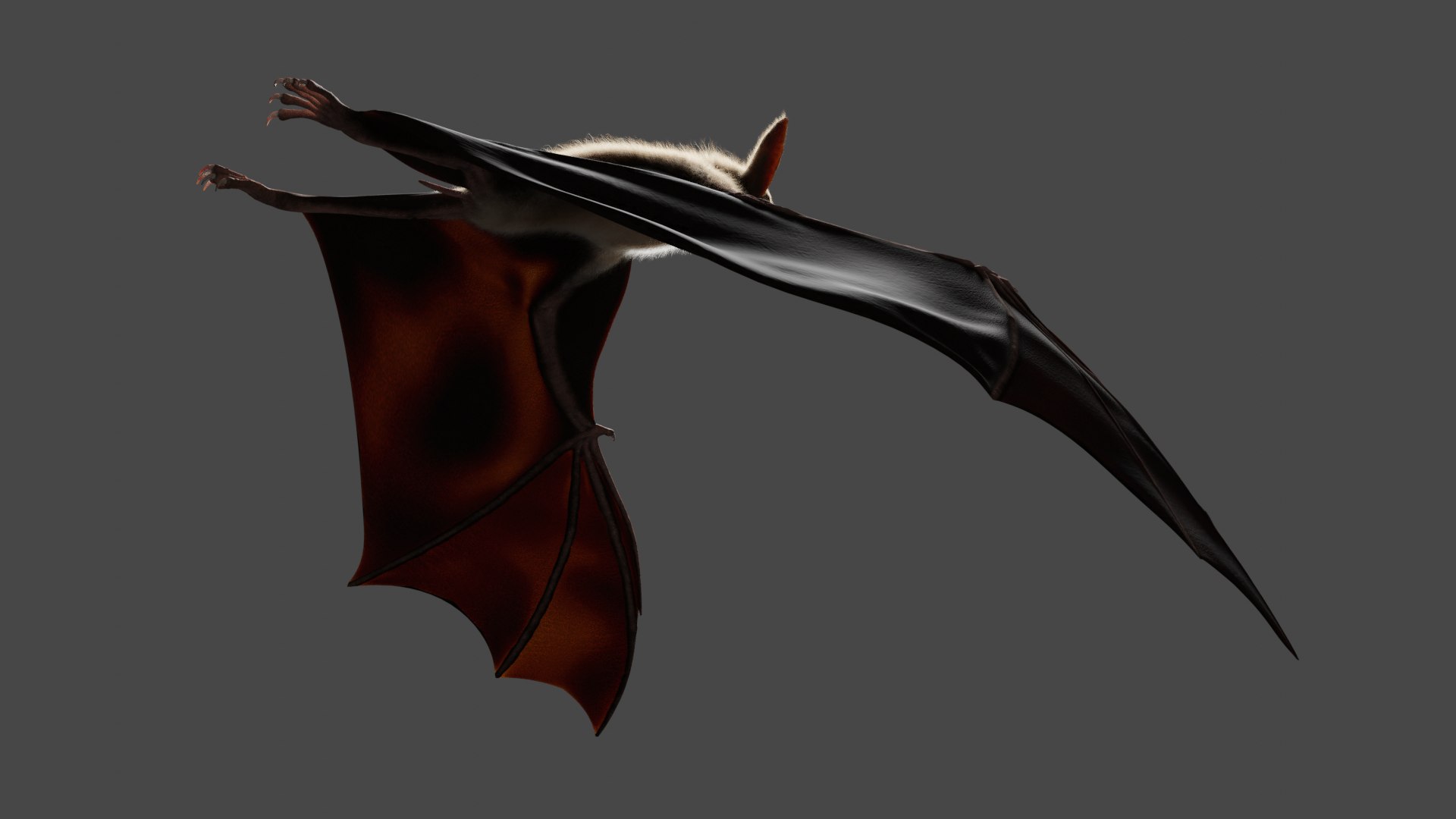 Realistic Vampire Bat Animations 3D Model - TurboSquid 1700904
