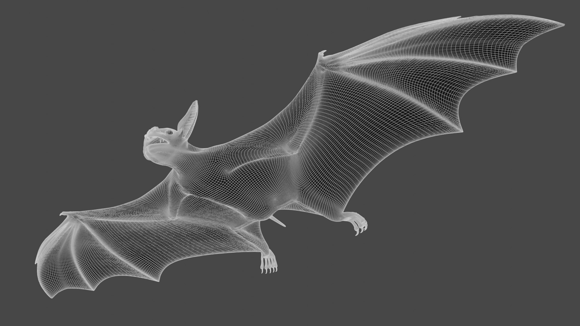 Realistic vampire bat animations 3D model - TurboSquid 1700904