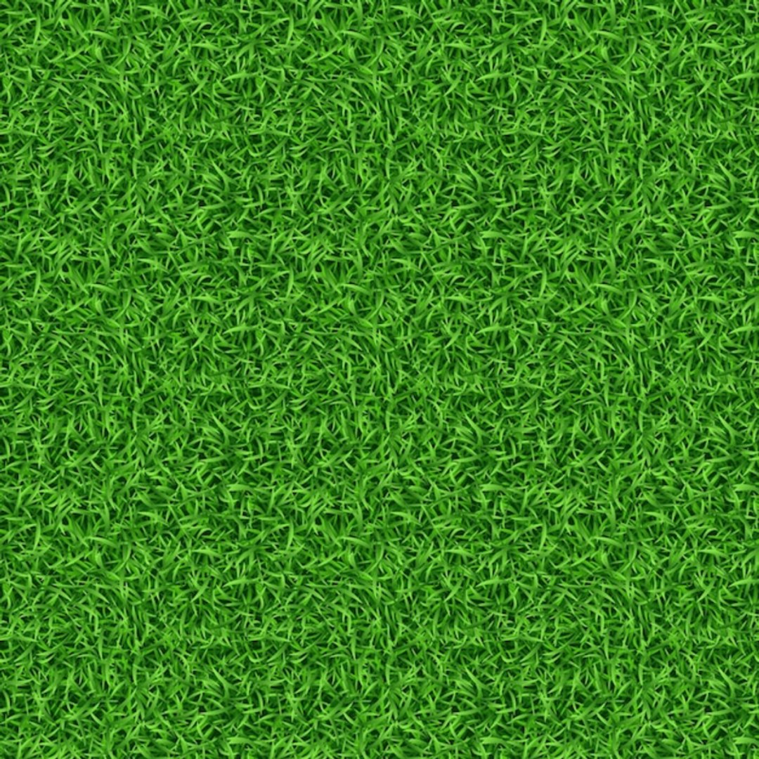 3D Model Grass Model - TurboSquid 2028527