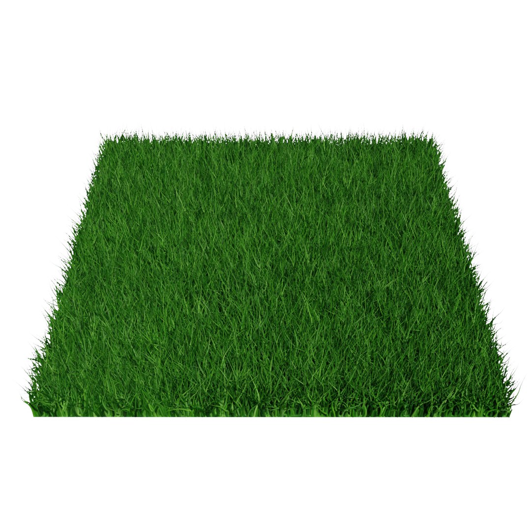 3D Model Grass Model - TurboSquid 2028527