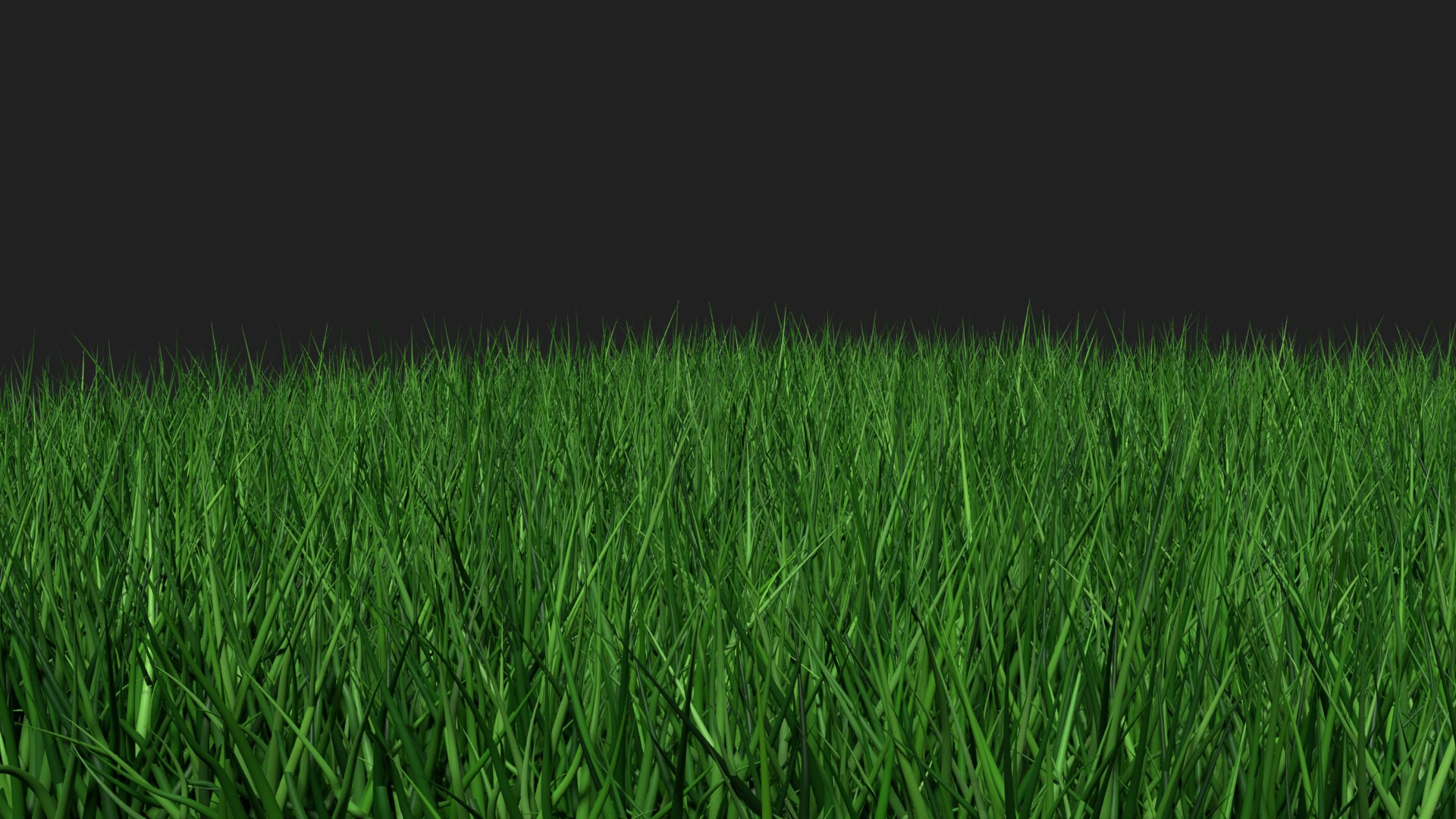 3D Model Grass Model - TurboSquid 2028527