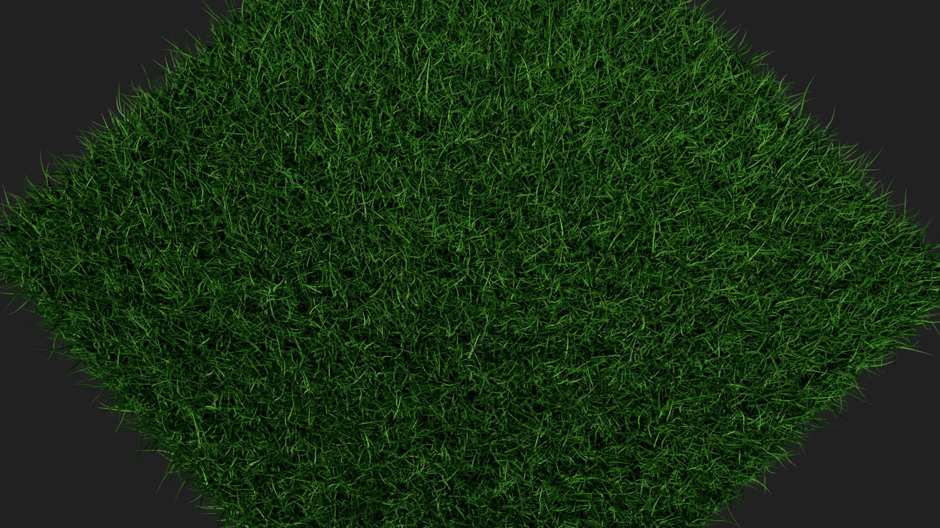 3D Model Grass Model - TurboSquid 2028527