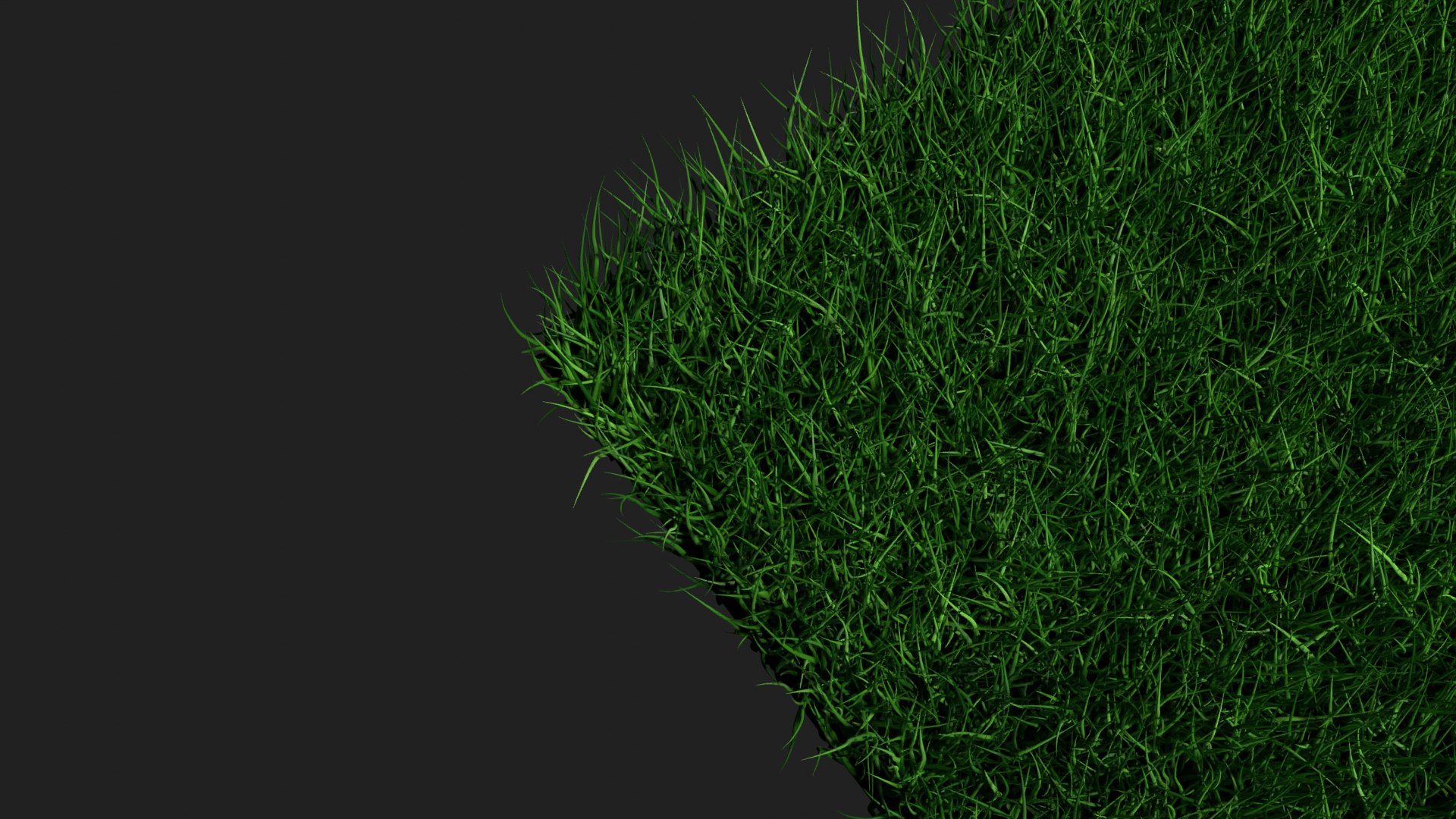 3D Model Grass Model - TurboSquid 2028527