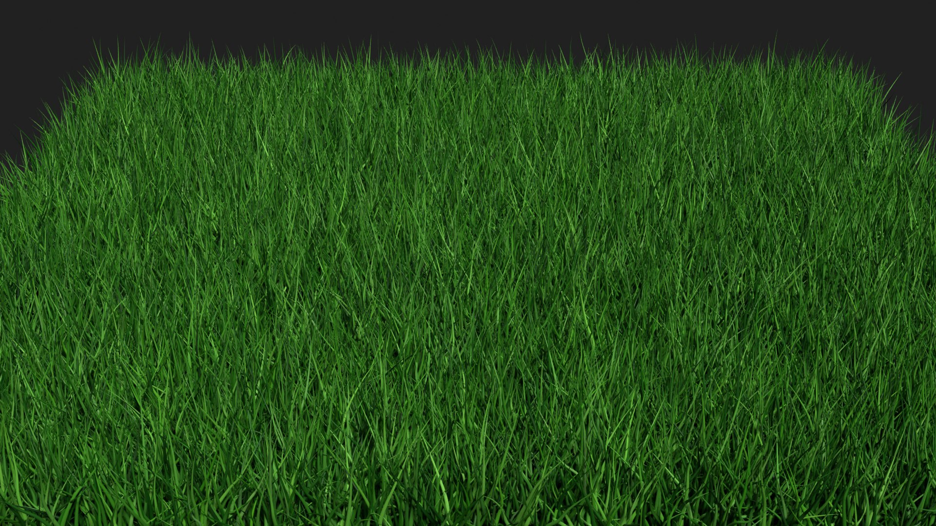 3D Model Grass Model - TurboSquid 2028527