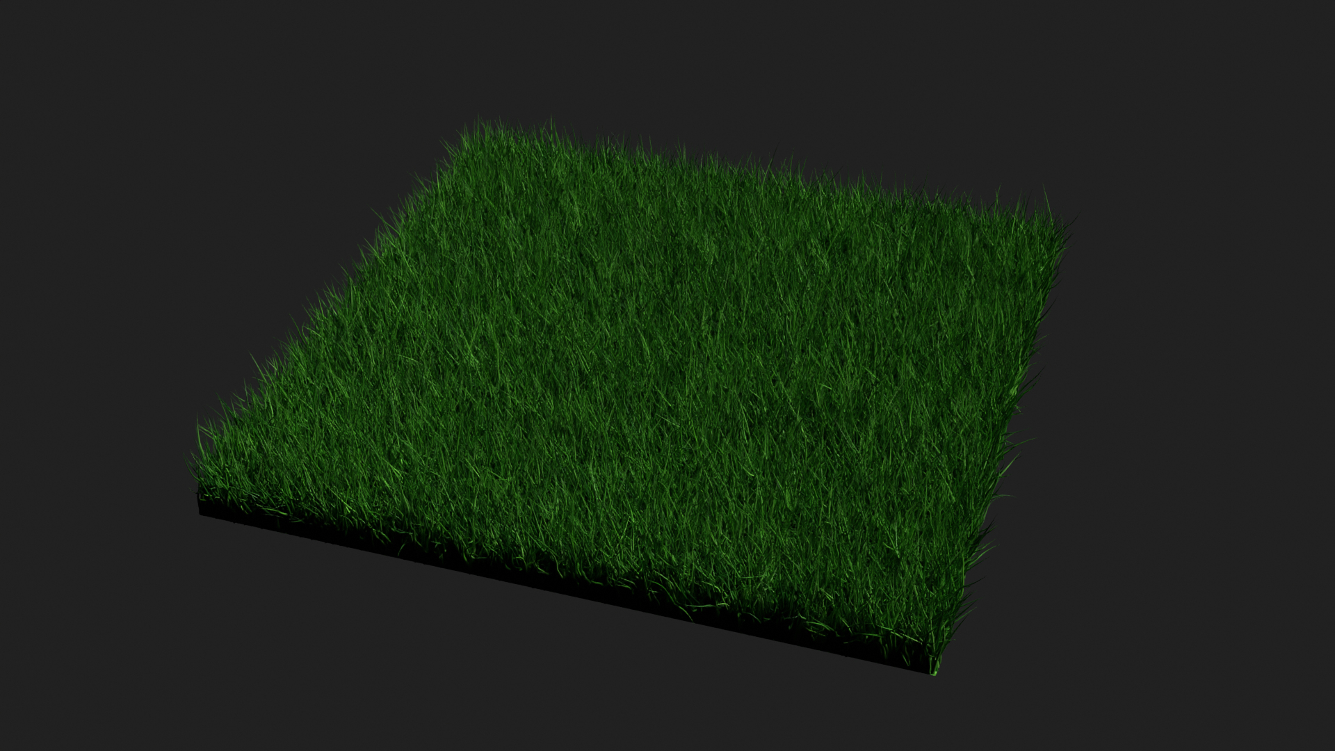 3D Model Grass Model - TurboSquid 2028527