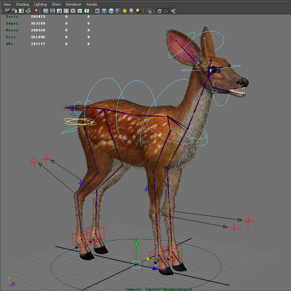 fur animation deer 3d model