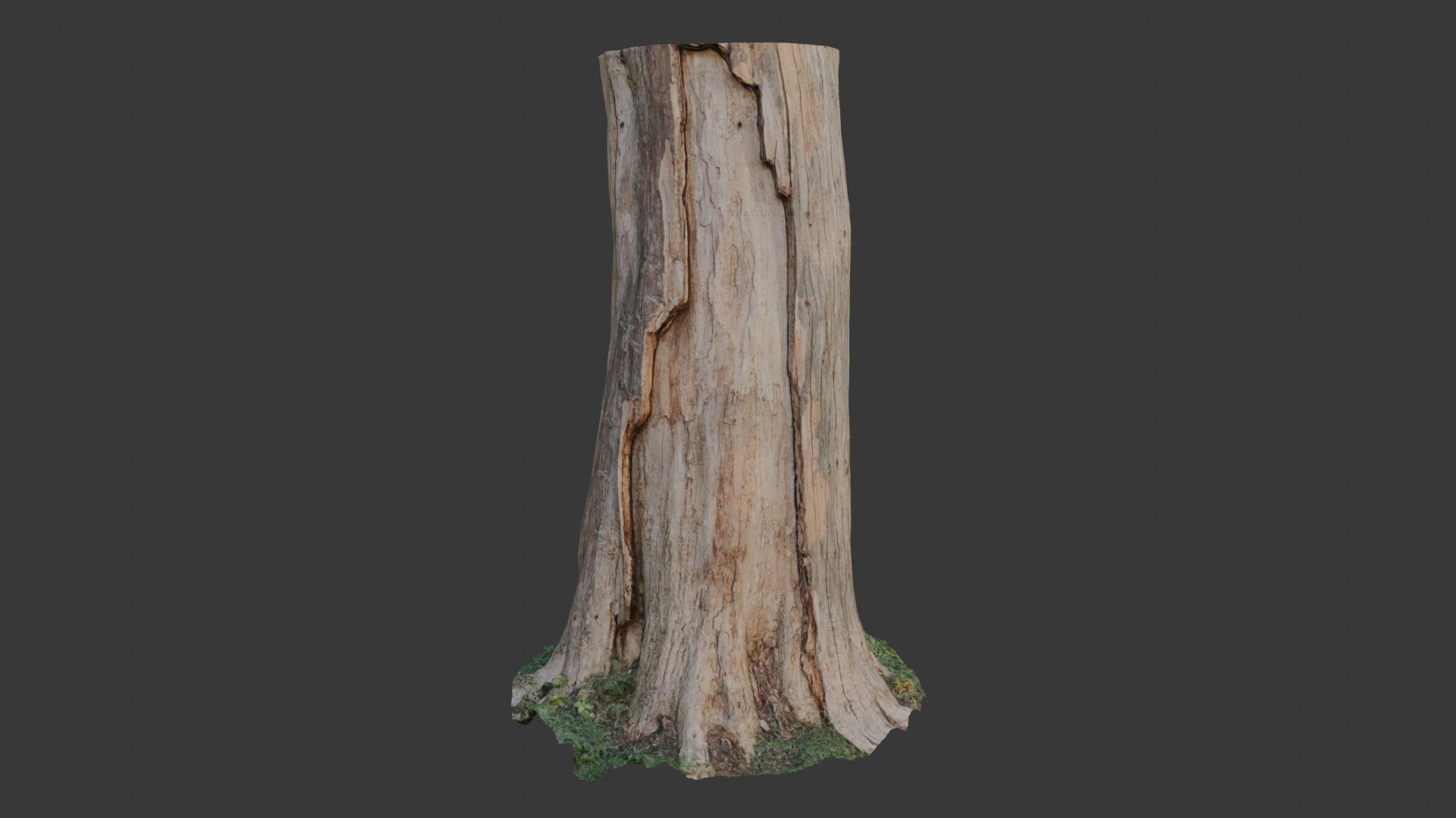 3D Model Realistic Dead Tree Trunk 3D Scan - TurboSquid 2395498