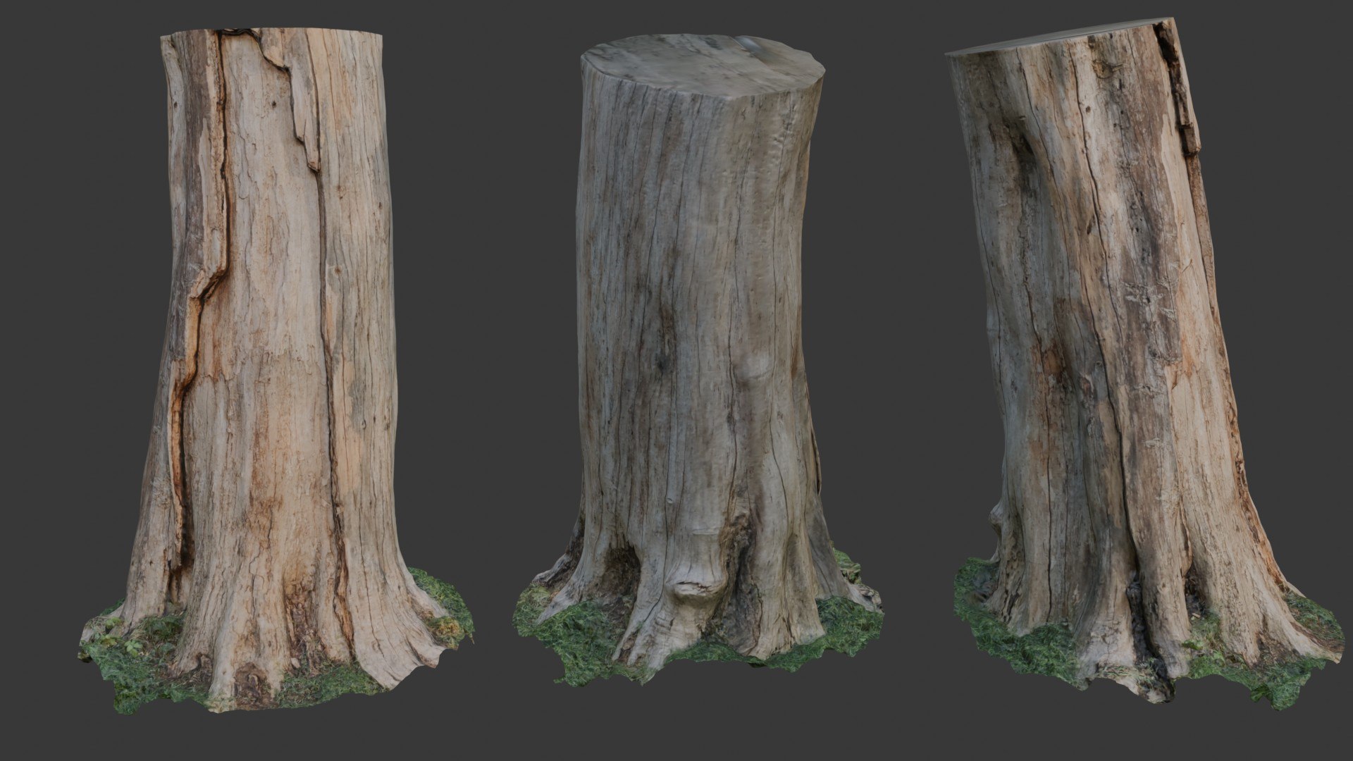 3D Model Realistic Dead Tree Trunk 3D Scan - TurboSquid 2395498