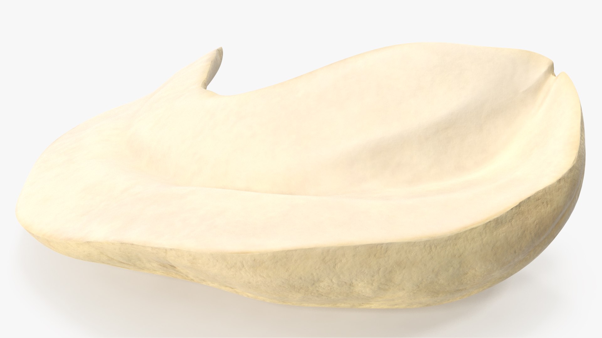 3D Cashew 3 - TurboSquid 2166803