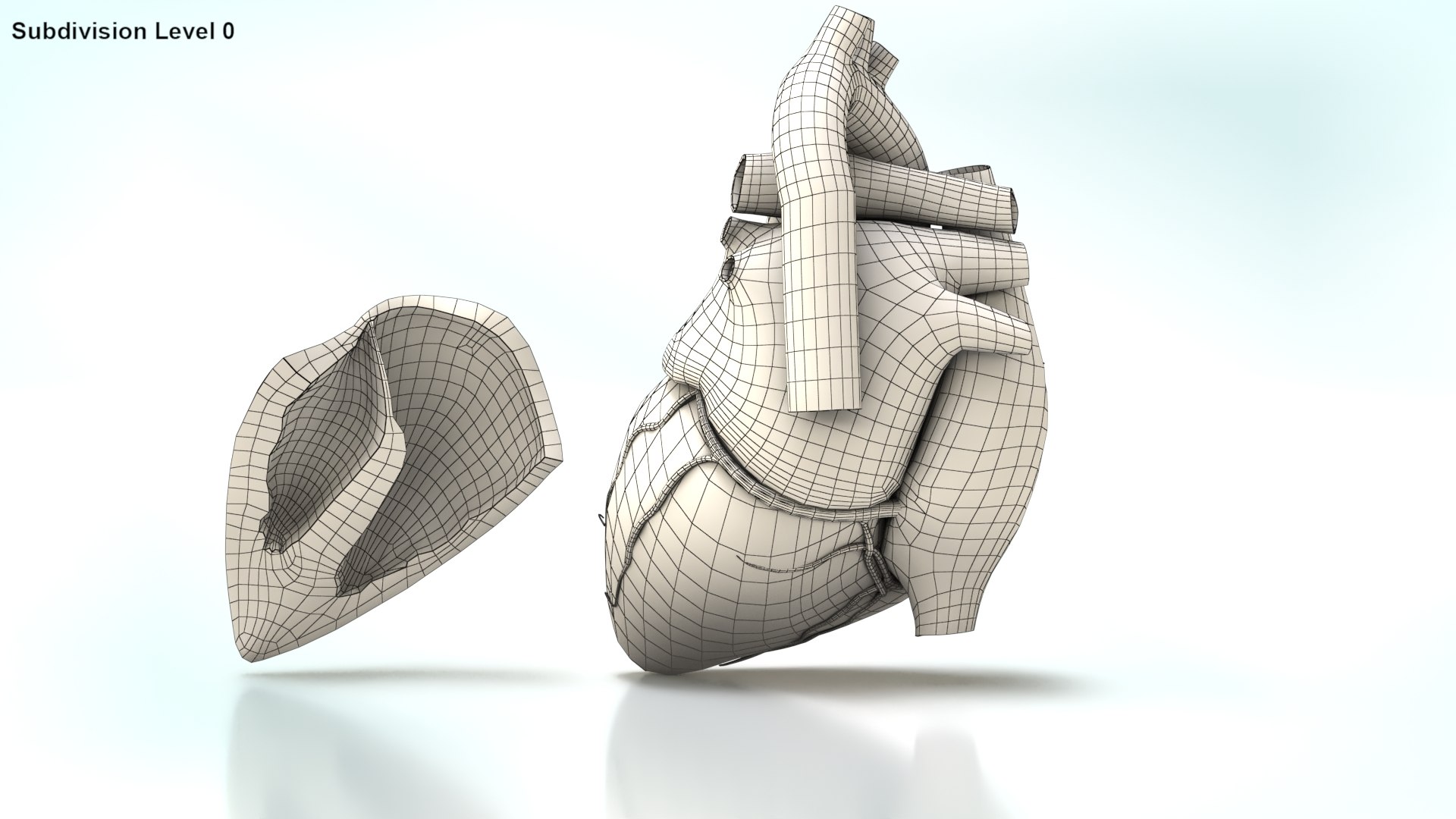 3D Human Heart Anatomy with Cross Section - TurboSquid 1740891