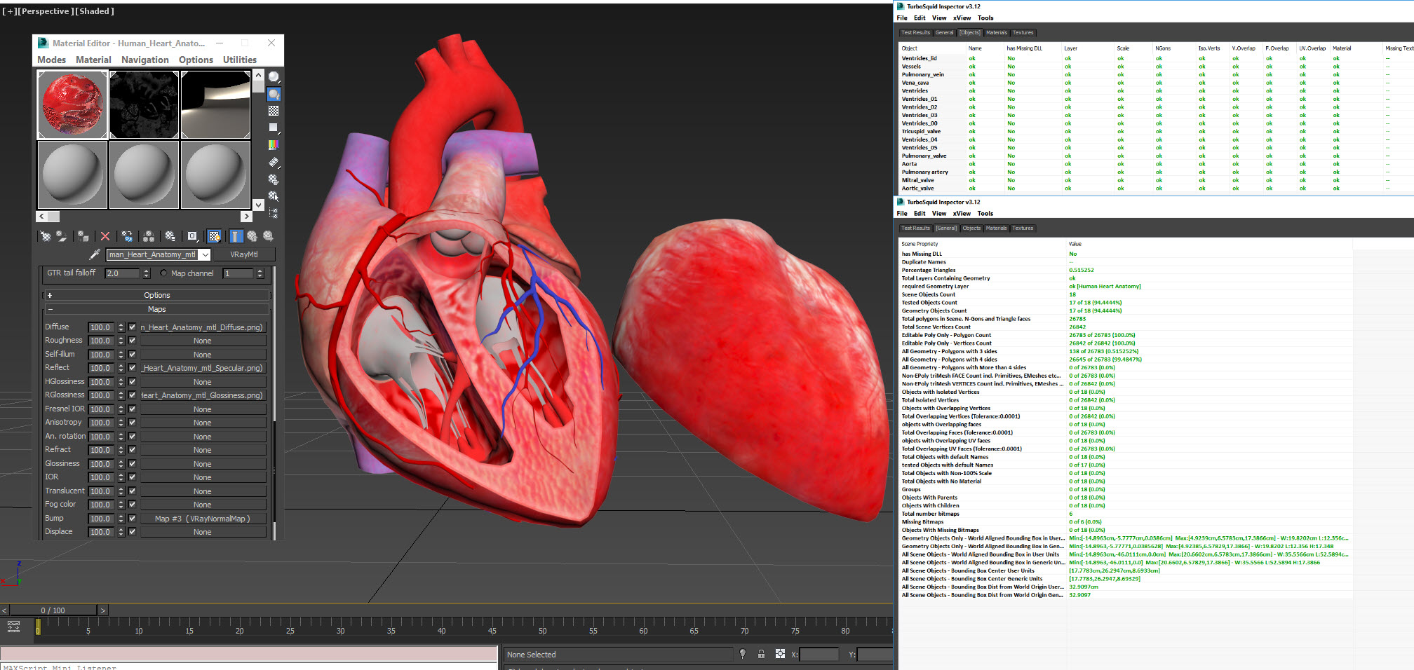 modelo 3d Anatomía del corazón humano con sección transversal ...