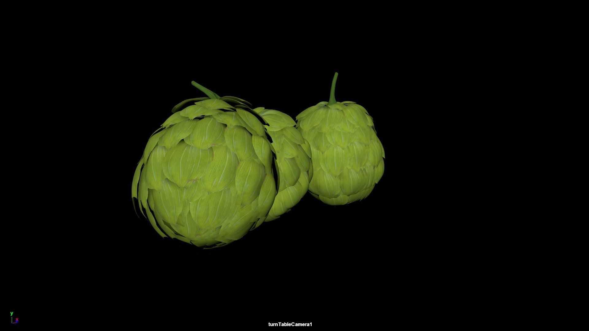 Hop animation model - TurboSquid 1684239