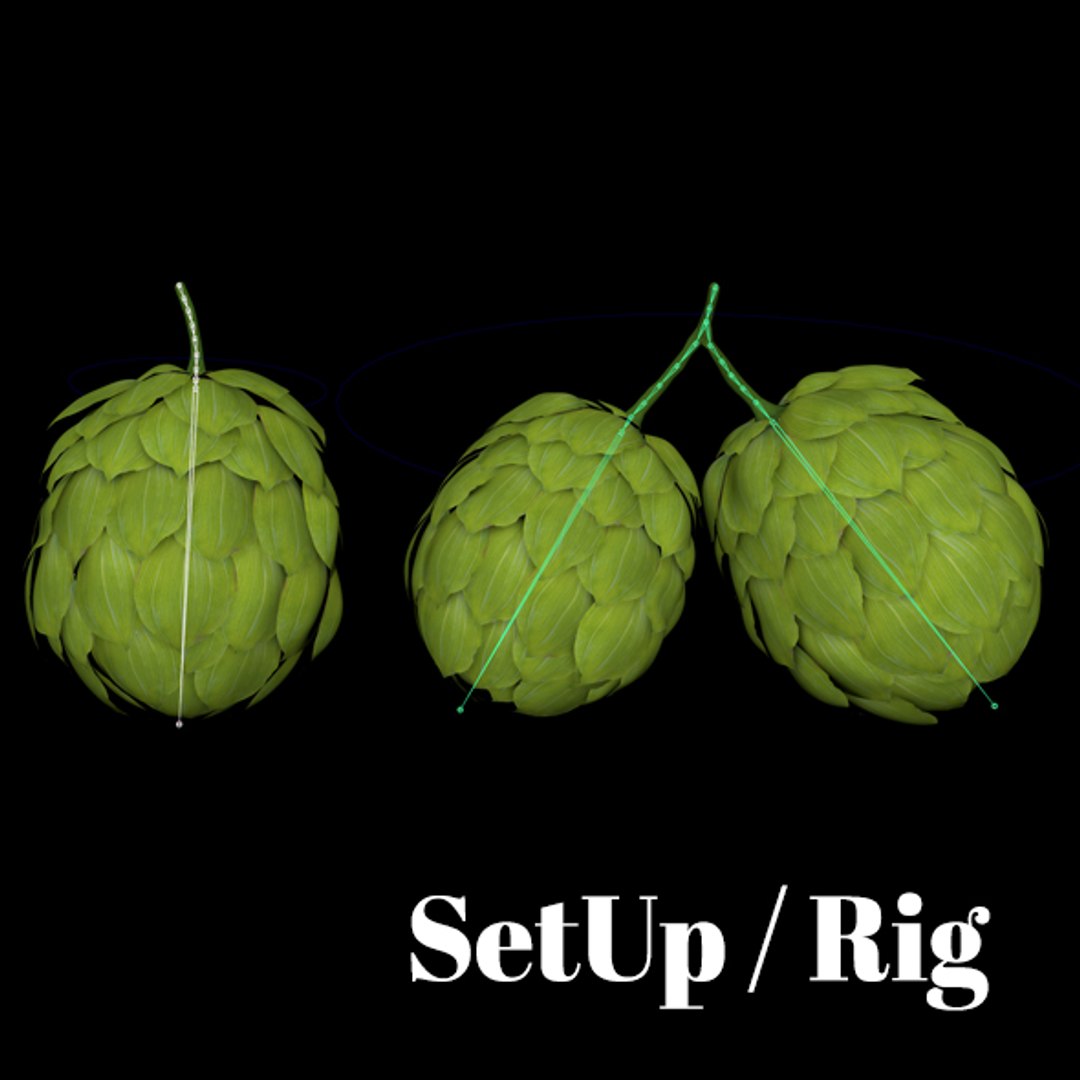 Hop animation model - TurboSquid 1684239