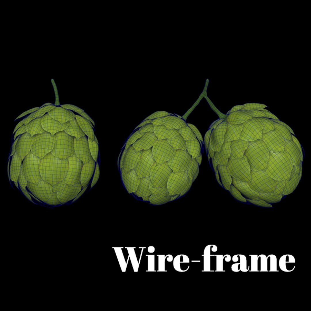 Hop animation model - TurboSquid 1684239