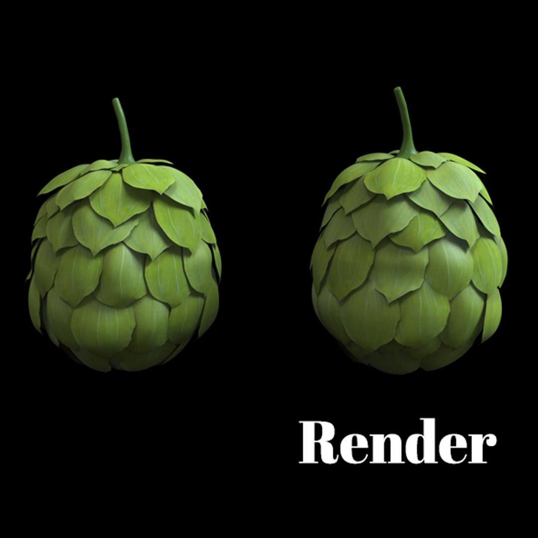 Hop animation model - TurboSquid 1684239