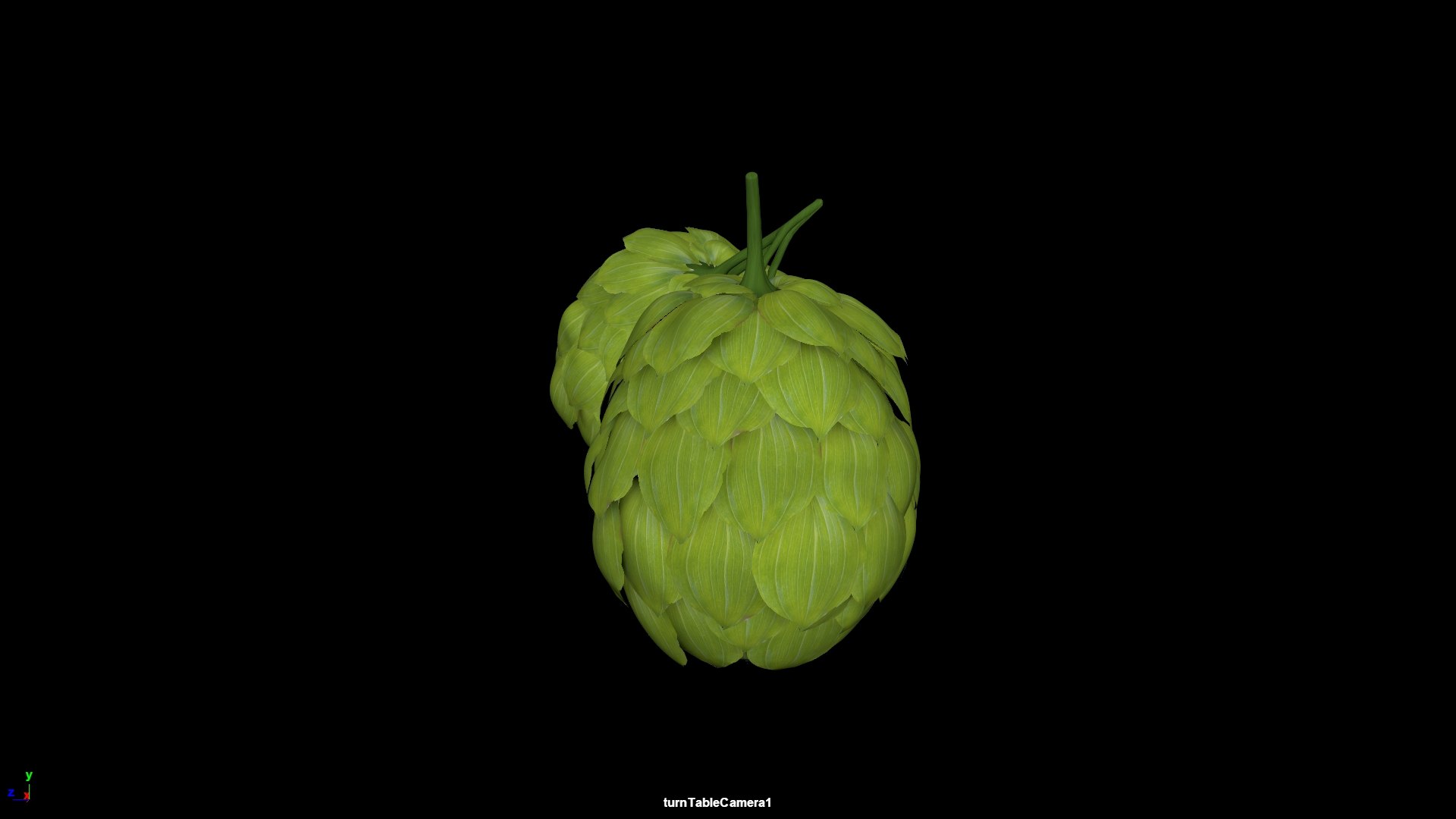 Hop animation model - TurboSquid 1684239
