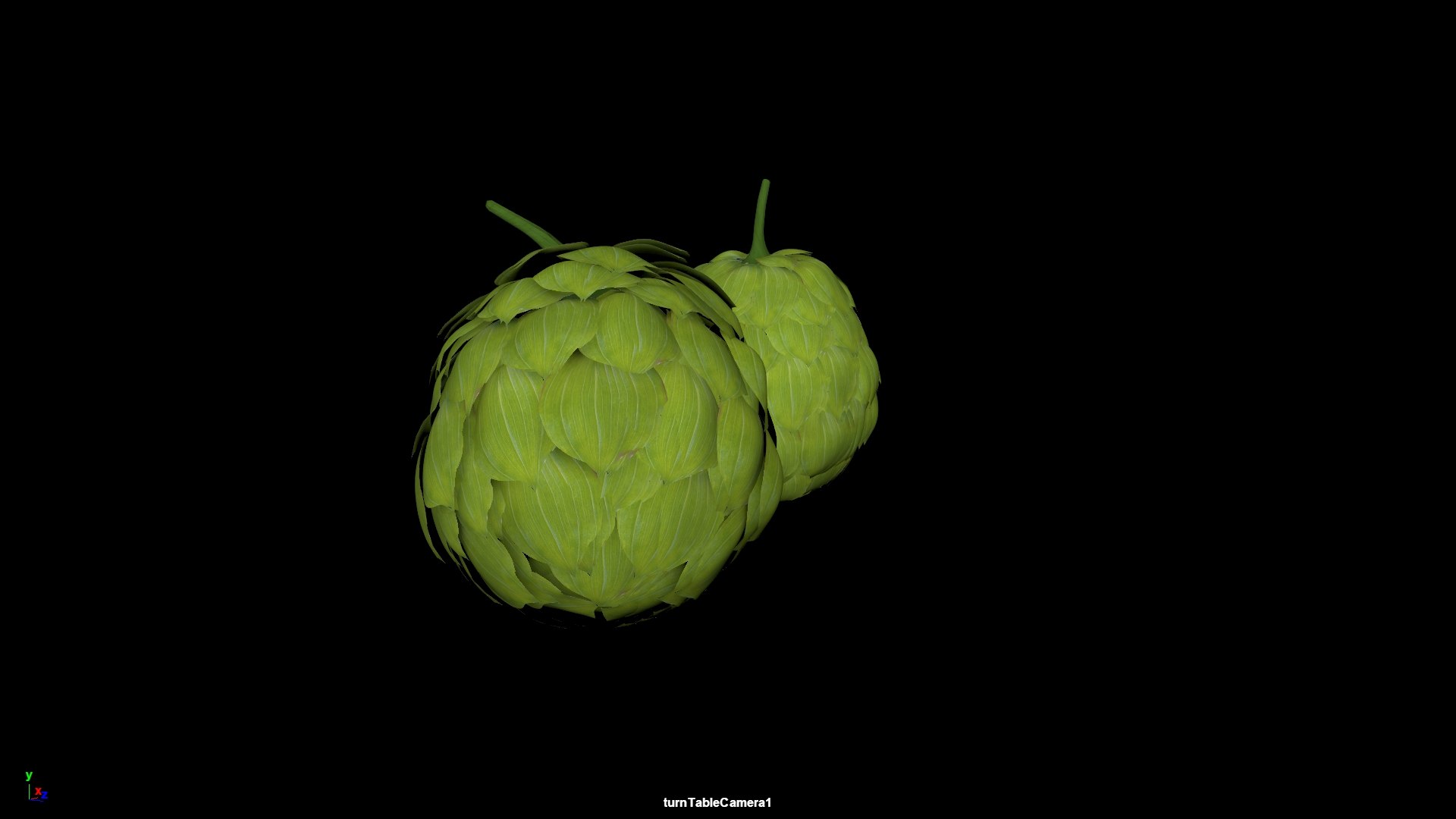Hop animation model - TurboSquid 1684239
