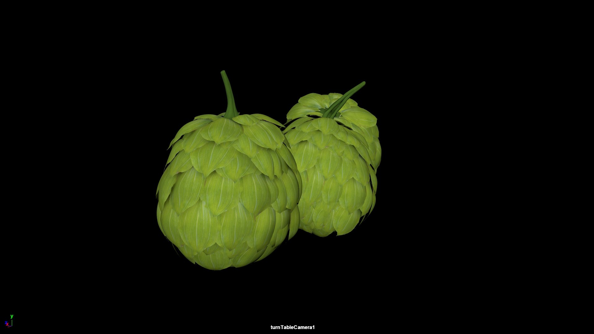 Hop animation model - TurboSquid 1684239