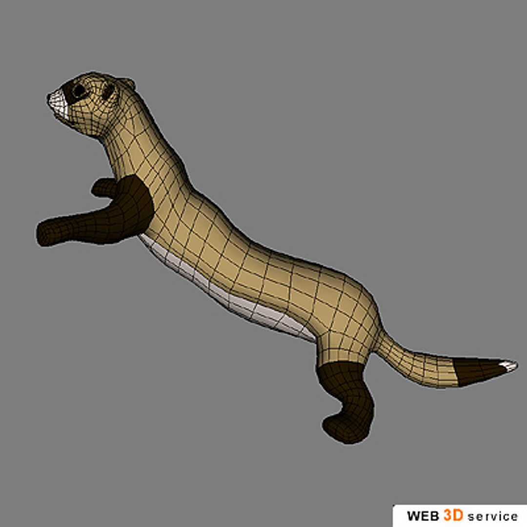ferret animation 3d max