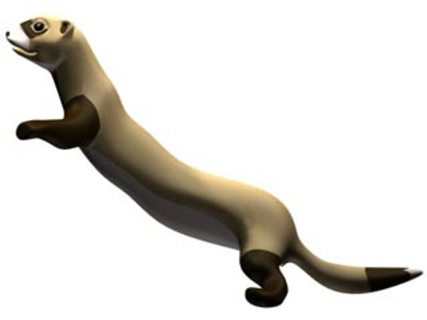 ferret animation 3d max