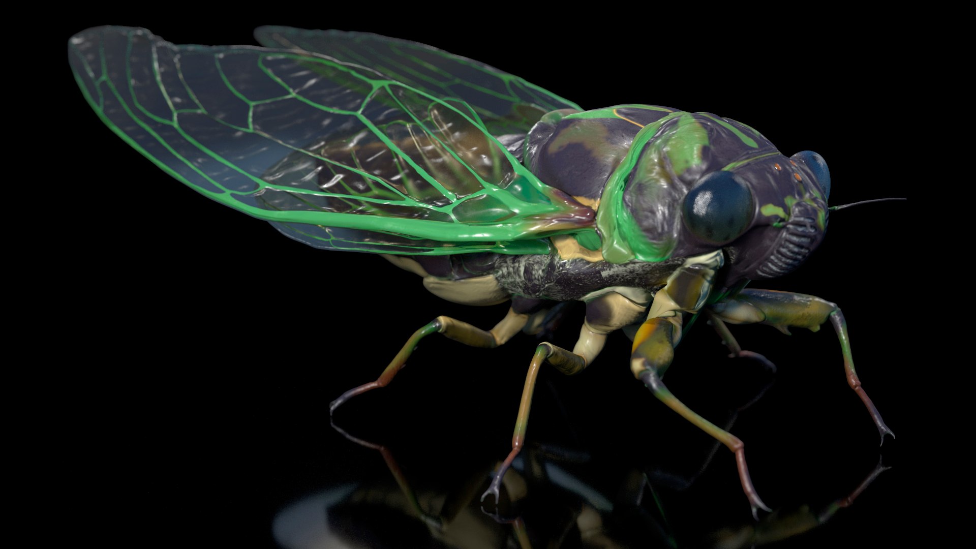 Cicada Rigged For Cinema 4D 3D Model - TurboSquid 2060312