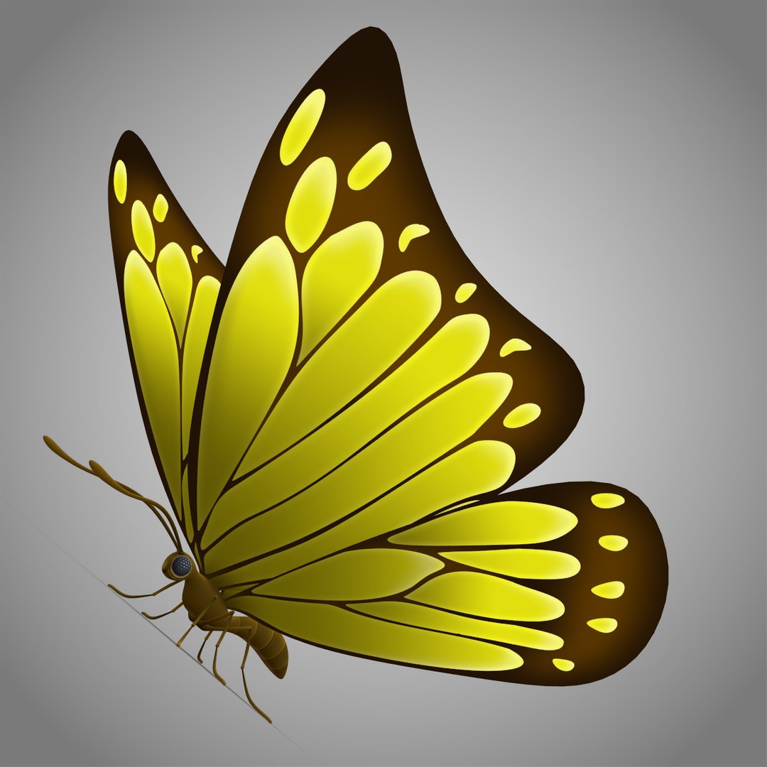 Yellow Butterfly Cartoon