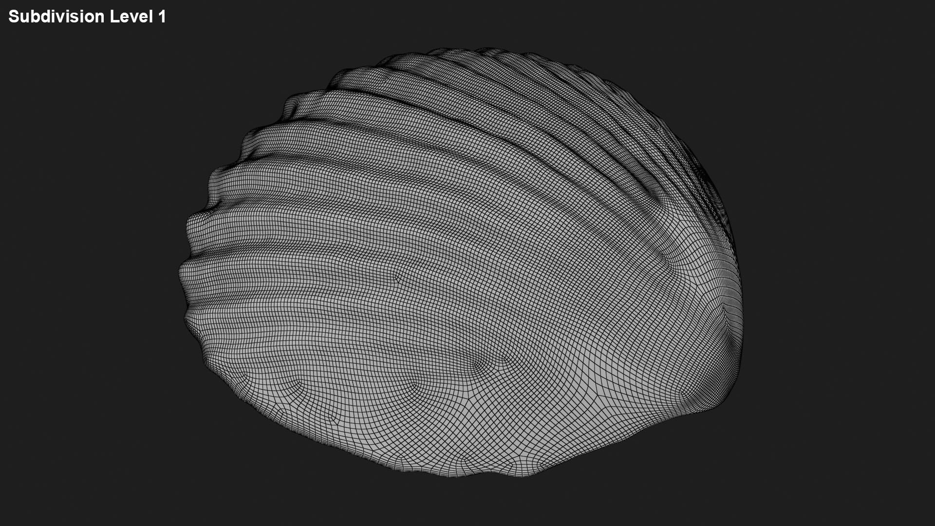 3D Trachycardium Egmontianum - TurboSquid 2141156