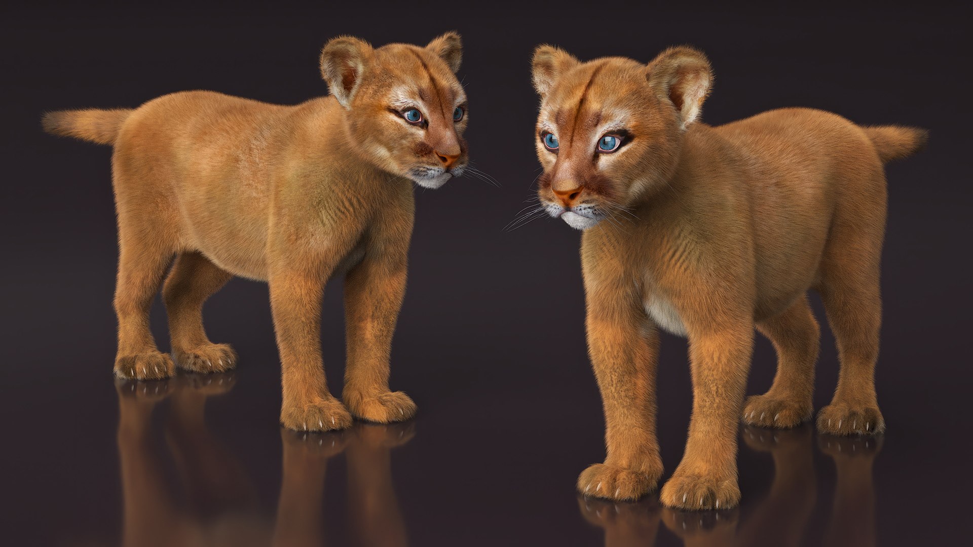 3D Puma Cub Standing Pose With Fur - TurboSquid 2342474