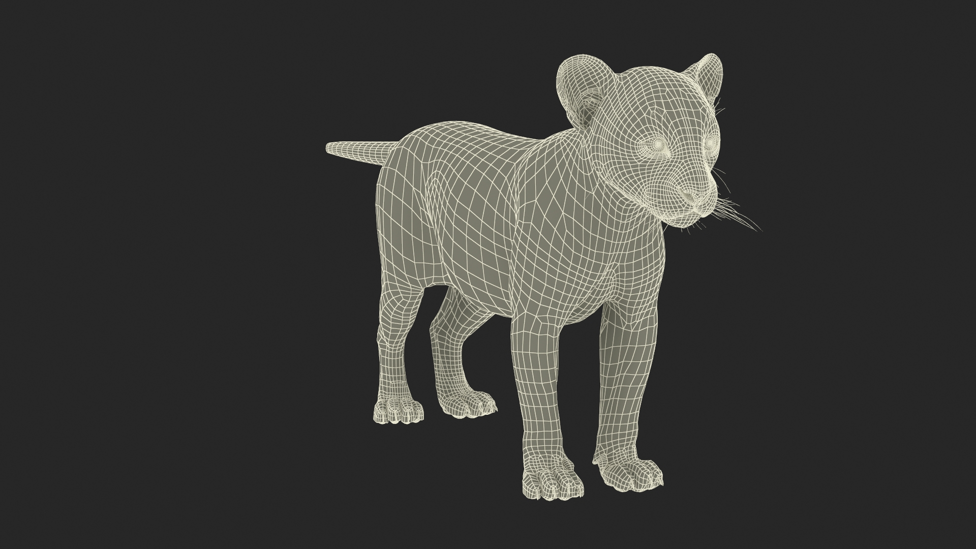 3D Puma Cub Standing Pose With Fur - TurboSquid 2342474