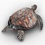 Turtle Shell 3d Model