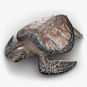 Animal 3D Models for Download | TurboSquid
