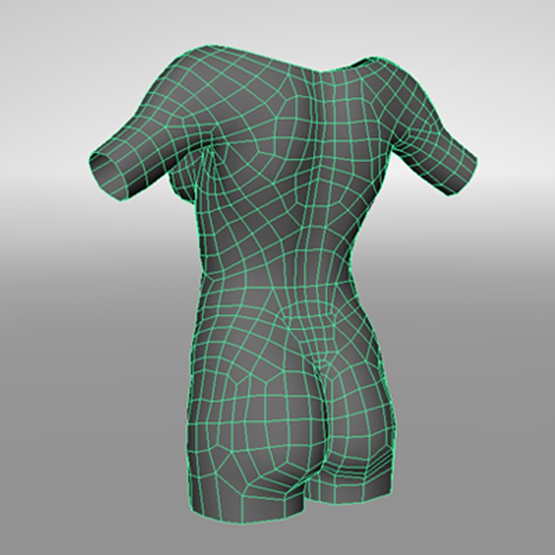 3d Realistic Female Torso Model
