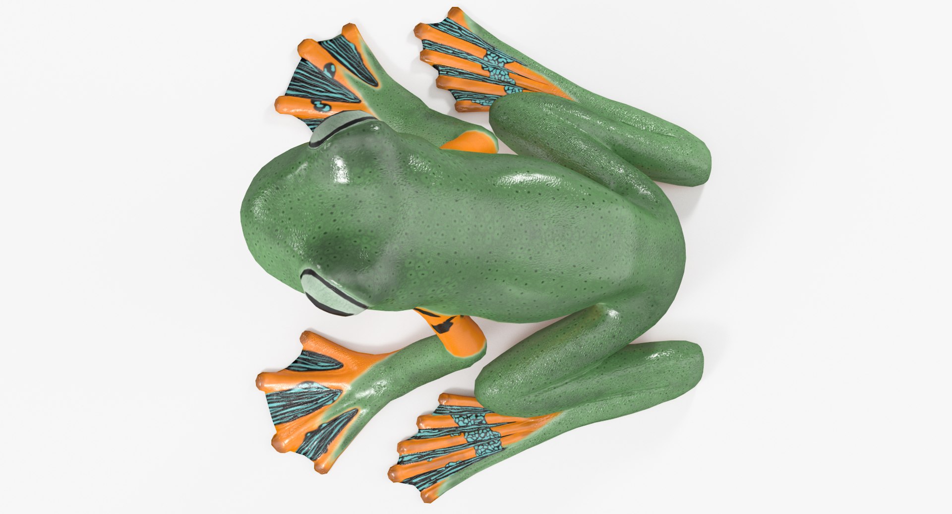 Tree Frog 3d Model