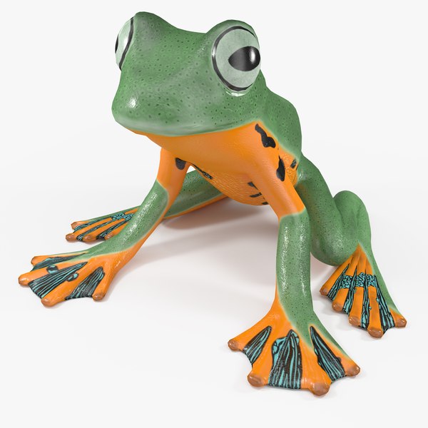 tree frog 3d model