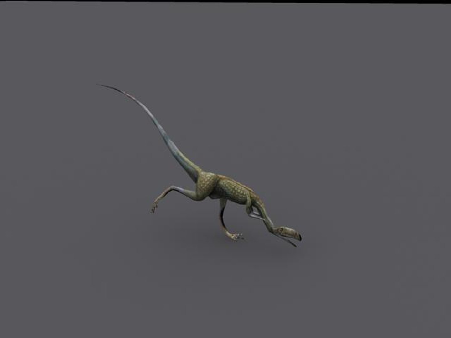 Compsognathus Animation 3d 3ds