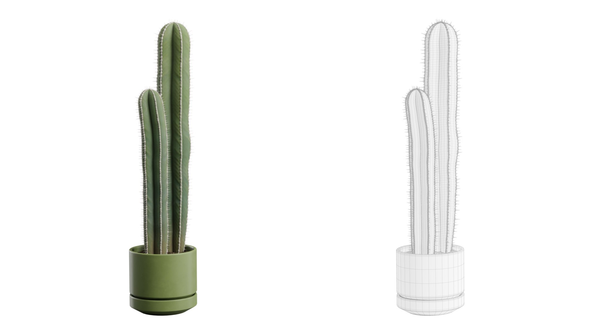 3D Cactus Pack 02 Model - TurboSquid 2147977
