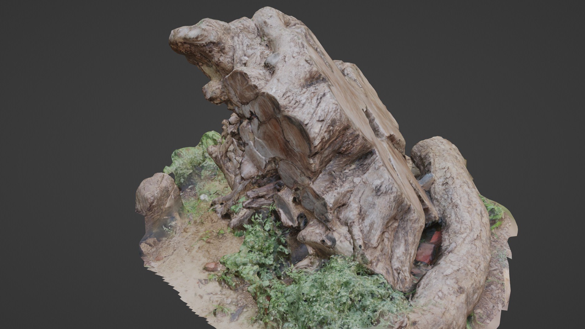 3D Cutted Trunk Roots - TurboSquid 2329434