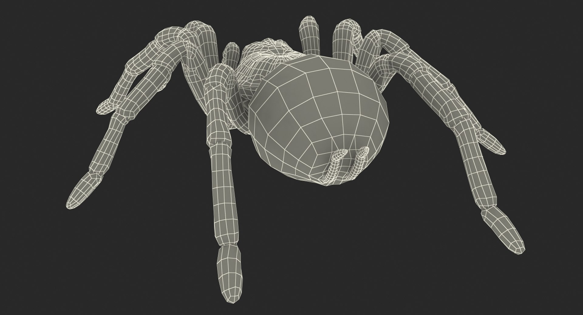 Goliath Birdeater Rigged 3D - TurboSquid 1256305