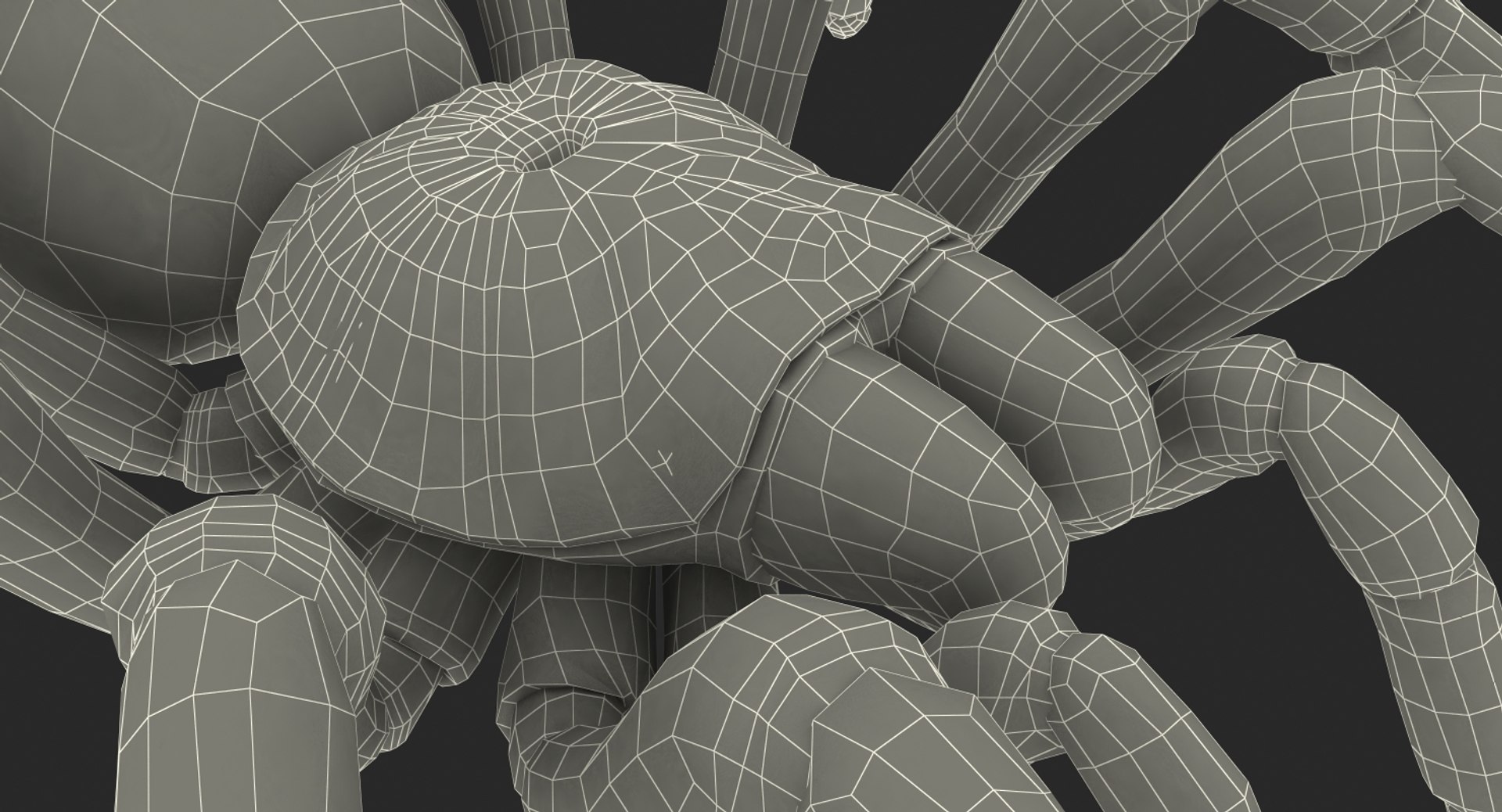 Goliath Birdeater Rigged 3D - TurboSquid 1256305