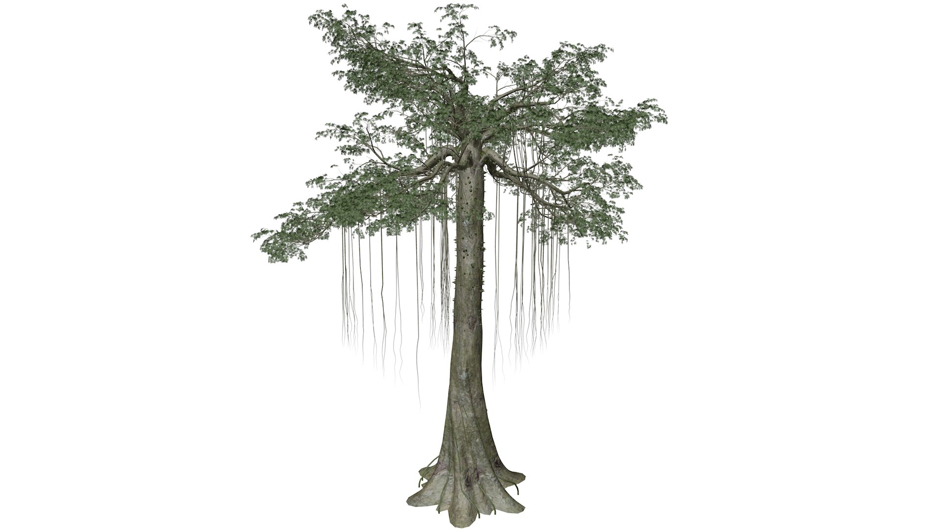 3D Kapok Tree Collection - TurboSquid 2379002