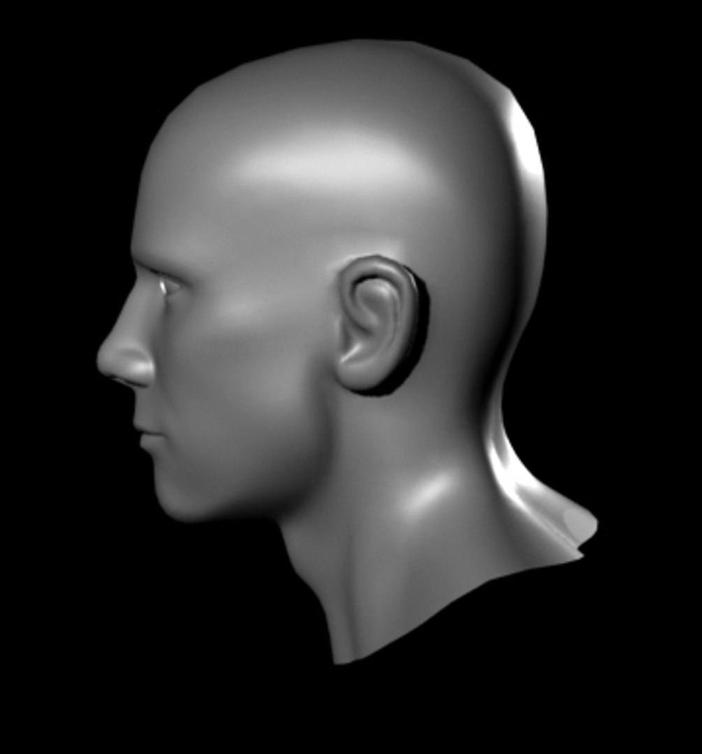 3d Model Human Head