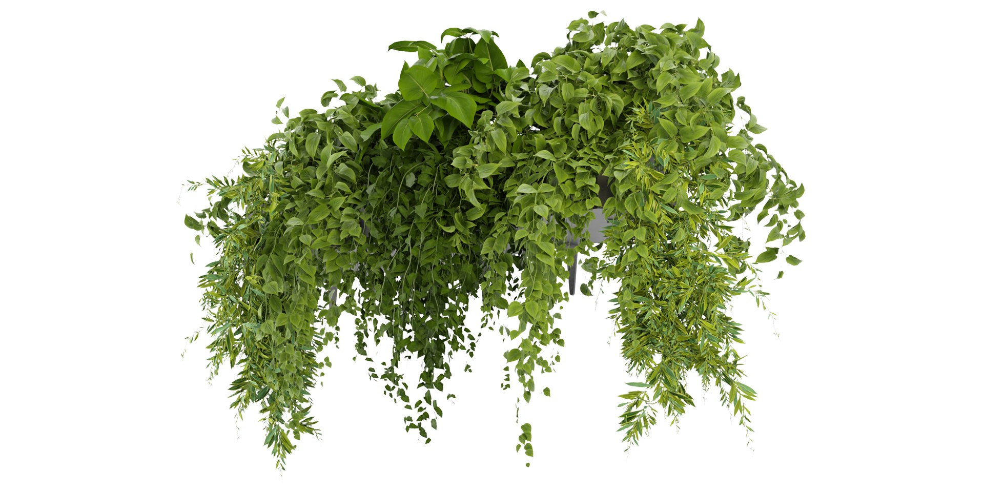 Collection Plant Vol 248 - Blender Model 3D Model - TurboSquid 2088262